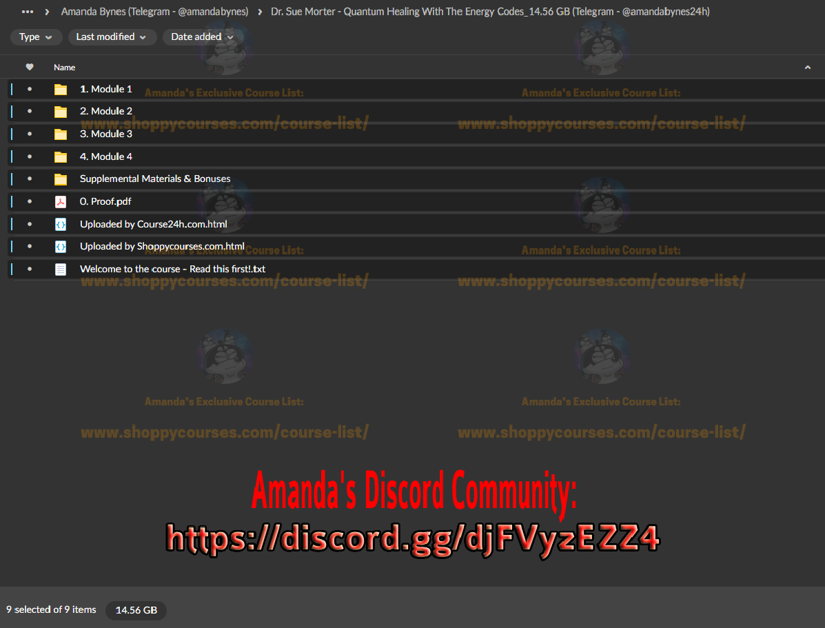 Dr. Sue Morter - Quantum Healing With The Energy Codes