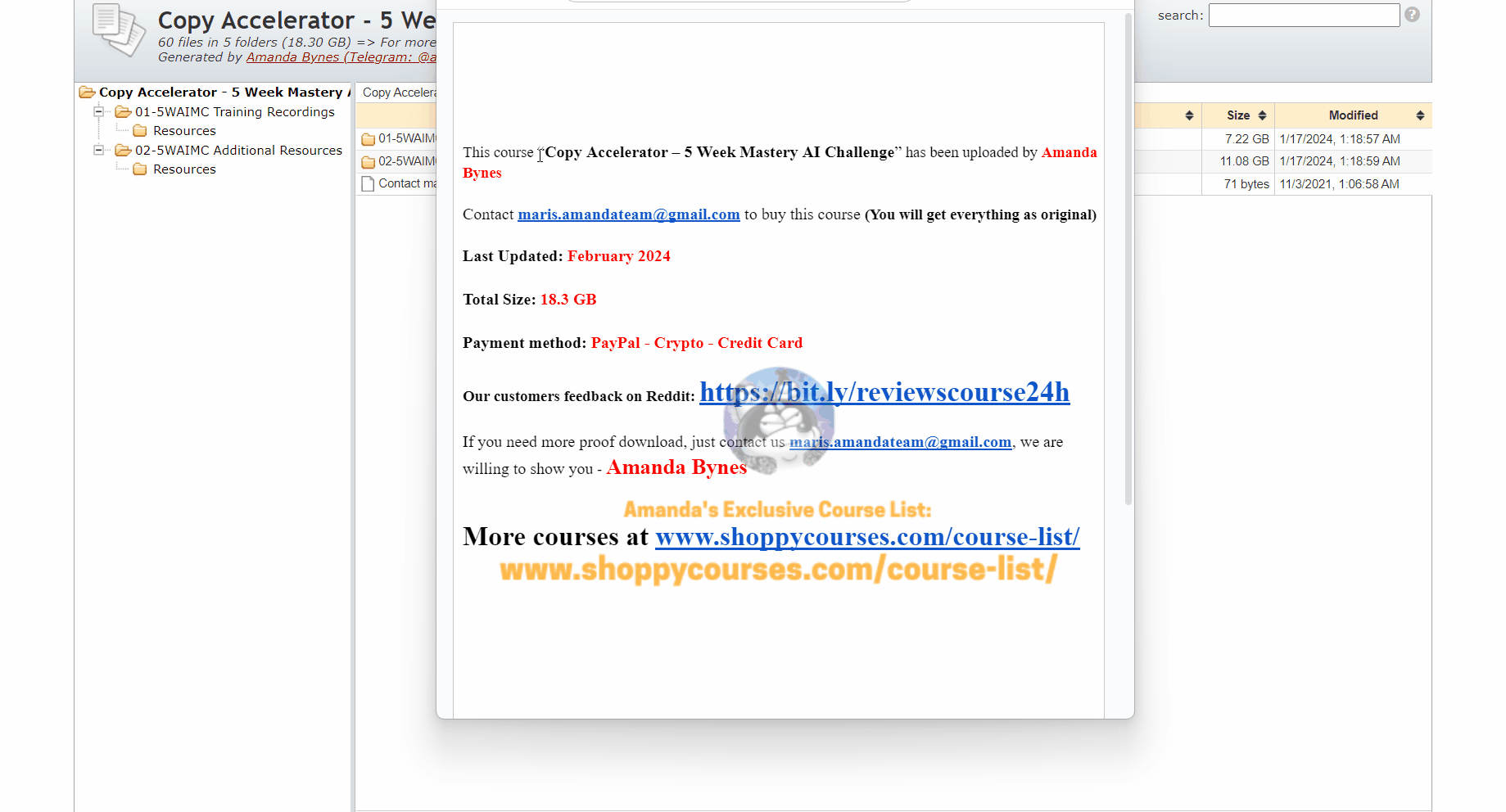 Copy Accelerator – 5 Week Mastery AI Challenge