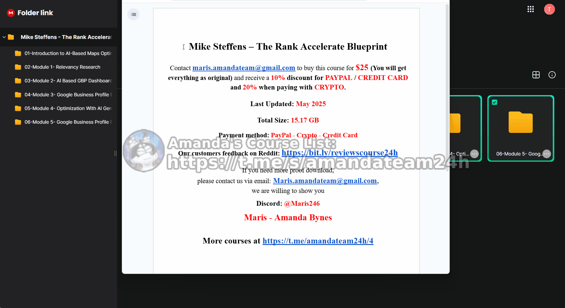 Mike Steffens – The Rank Accelerate Blueprint