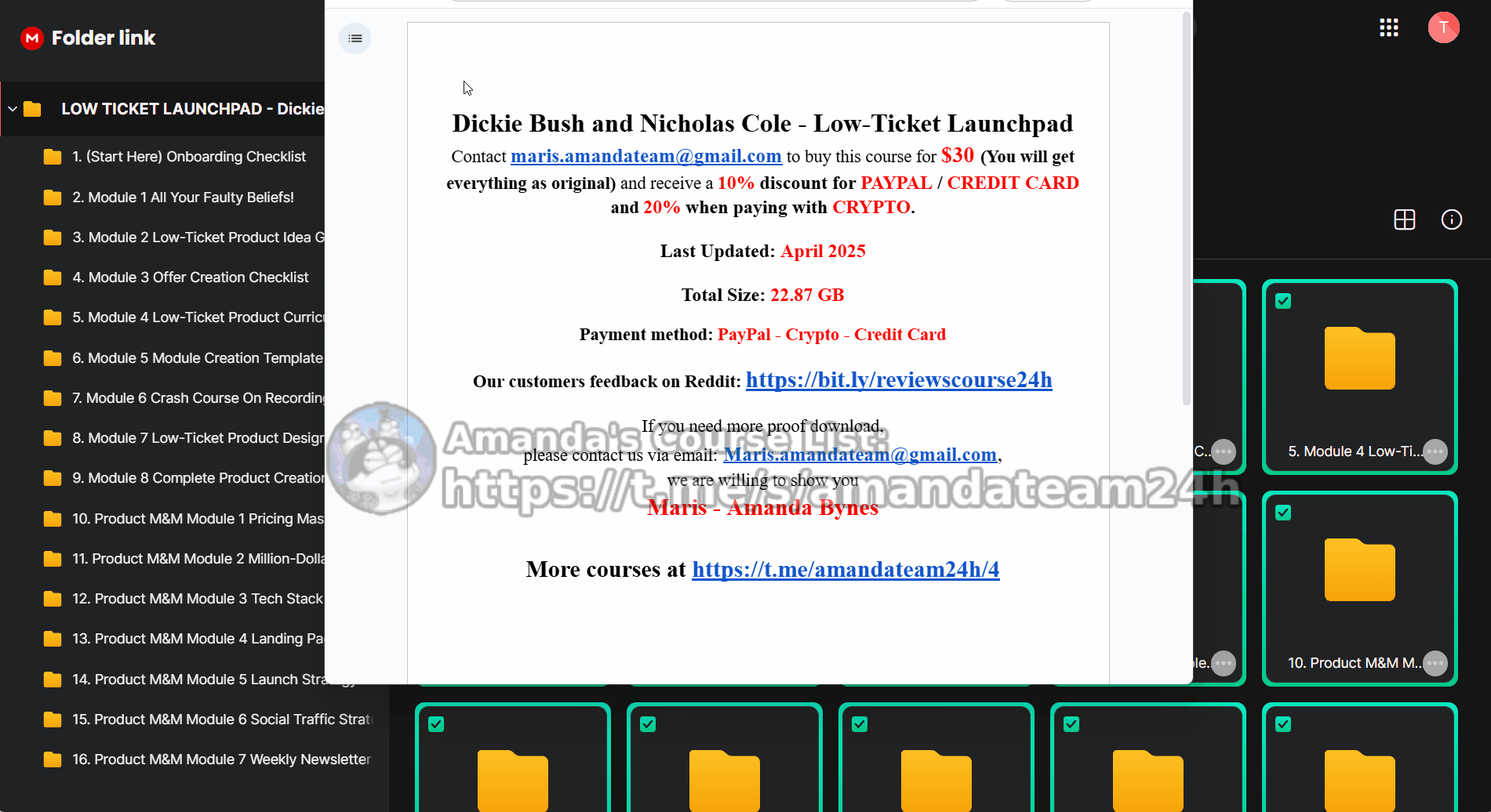 Dickie Bush and Nicholas Cole - Low-Ticket Launchpad